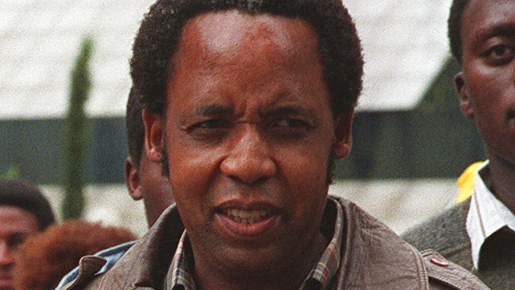 Anti-apartheid icon Chris Hani's grave vandalized | Africanews