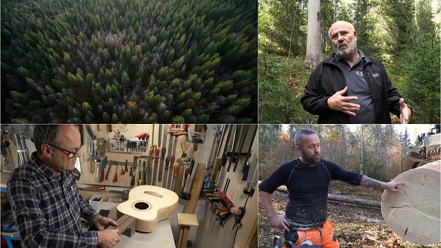 Climate Change toll threatens the sound of music in Swiss and French ...