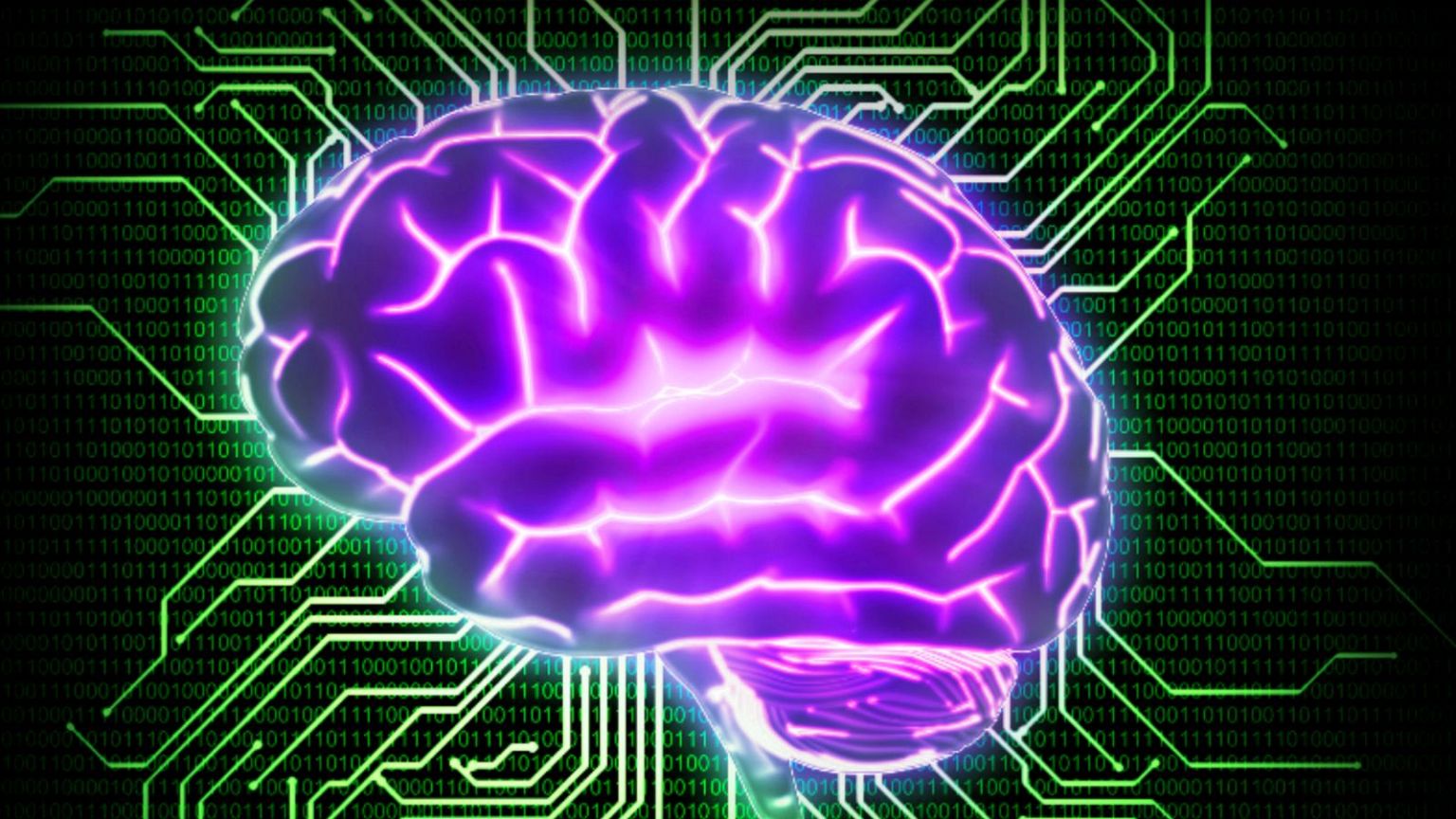 Elon Musk expects Neuralink to test brain chip implants in human ...