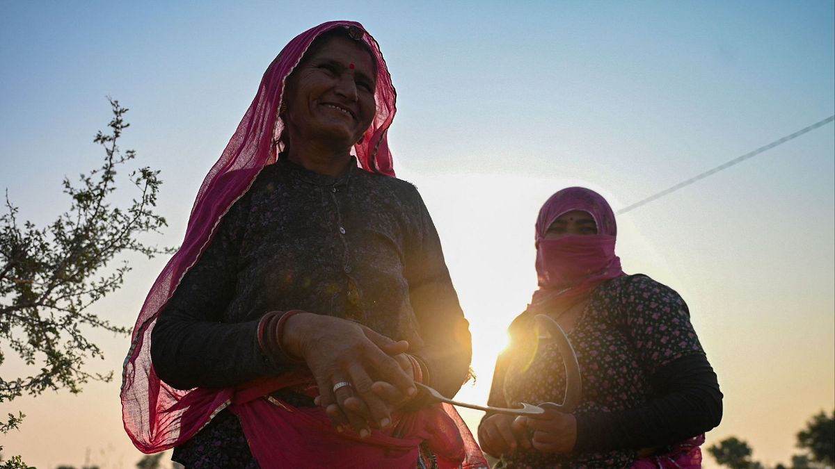 India’s original eco-warriors: Meet the Bishnoi community who won’t cut ...