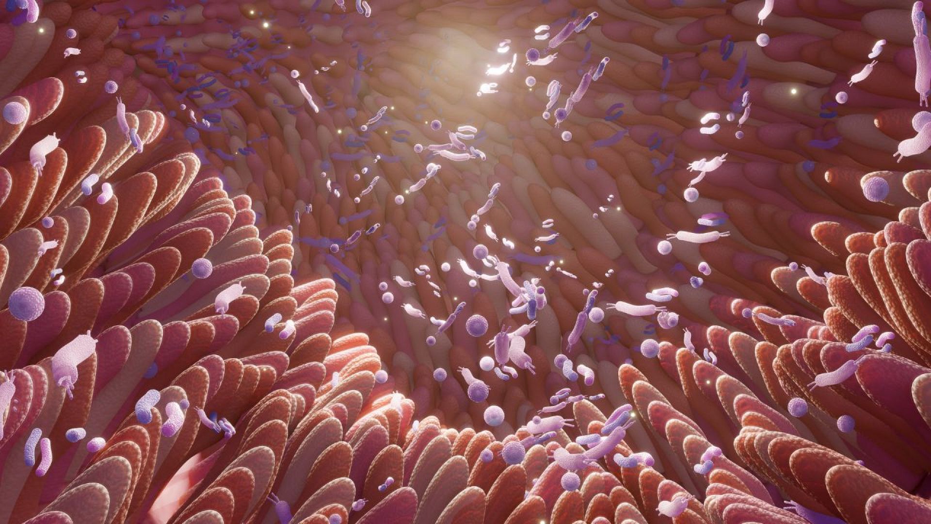 The first poo transplant treatment has been approved in the US. How ...