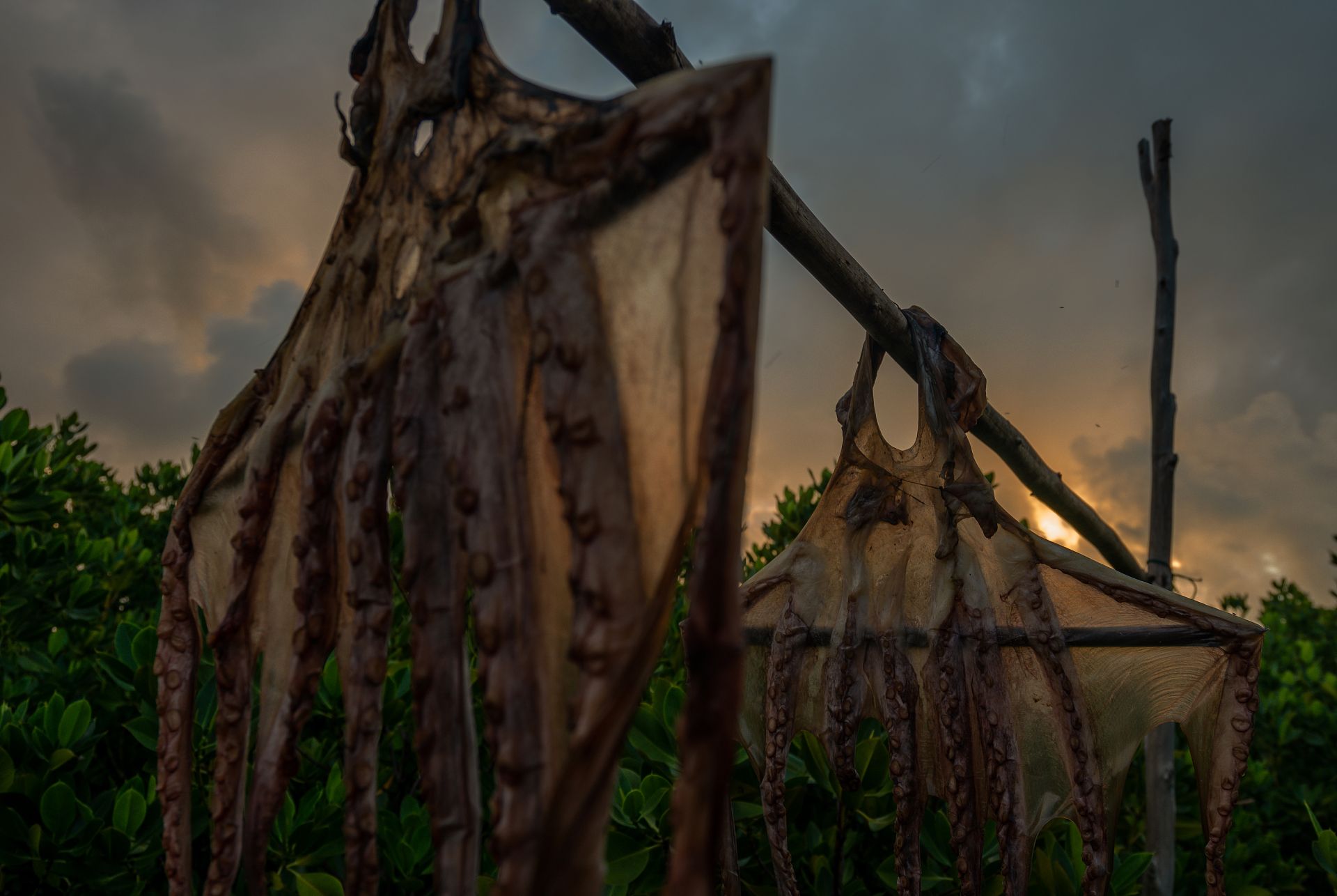 White sand beaches, creole music and multiple water activities: Why you ...