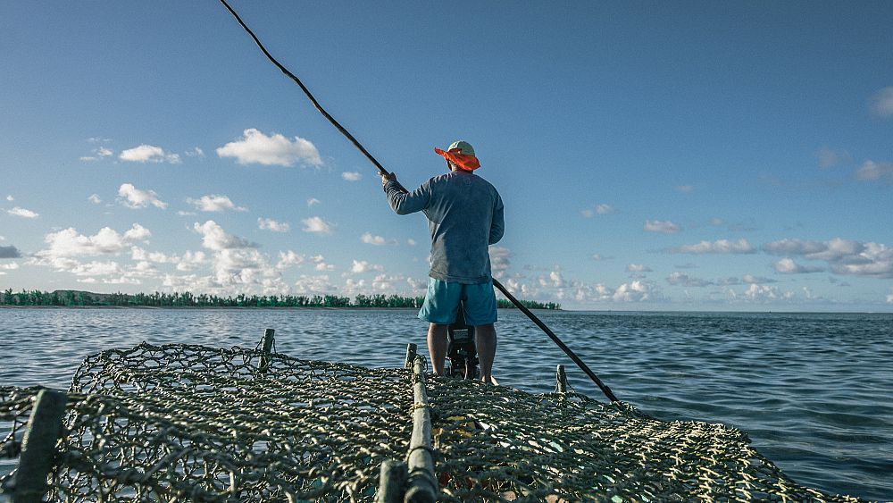 How is Rodrigues becoming more sustainable? | Euronews