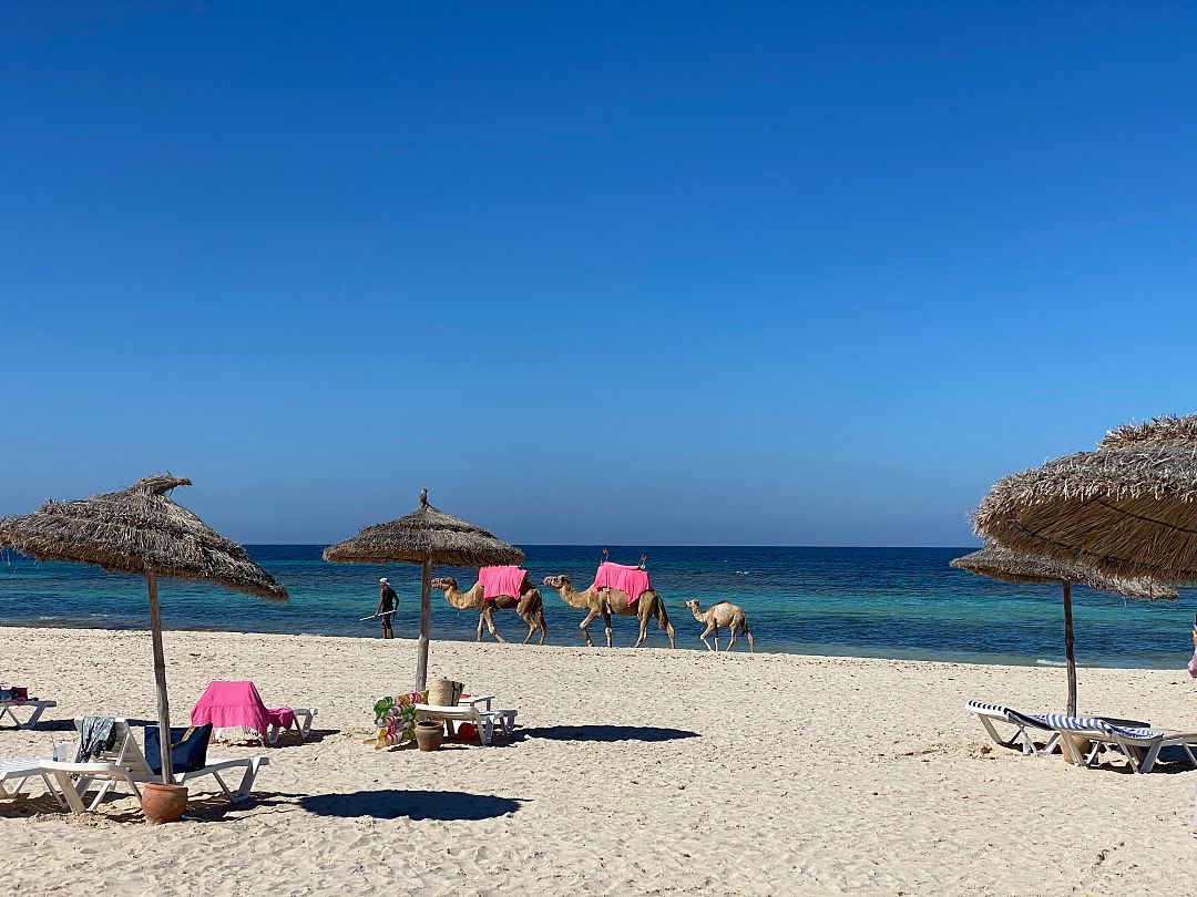 Tunisia fully reopens: Here’s why you should visit its pristine beaches ...