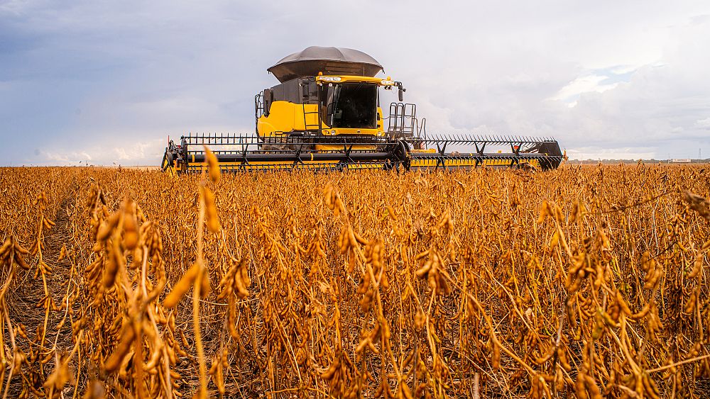 Embrapa apoya la sostenibilidad de la agricultura brasileña | Euronews