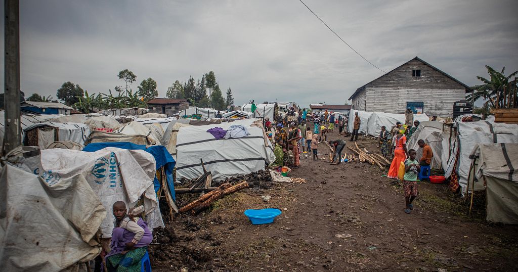 RDC : au moins 131 morts dans le massacre de Kishishe, selon la MONUSCO | Africanews