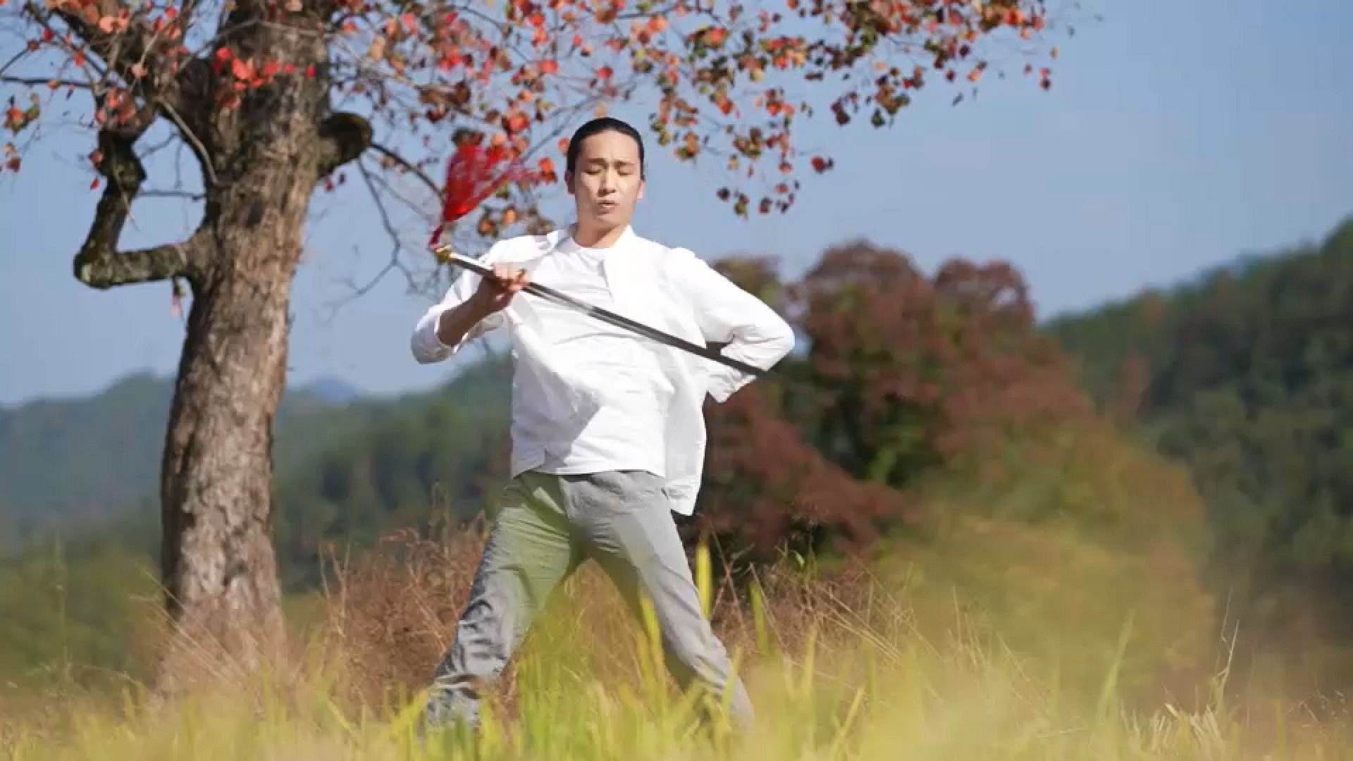 Forged from fire: how swords shaped China and Europe's cultural ...