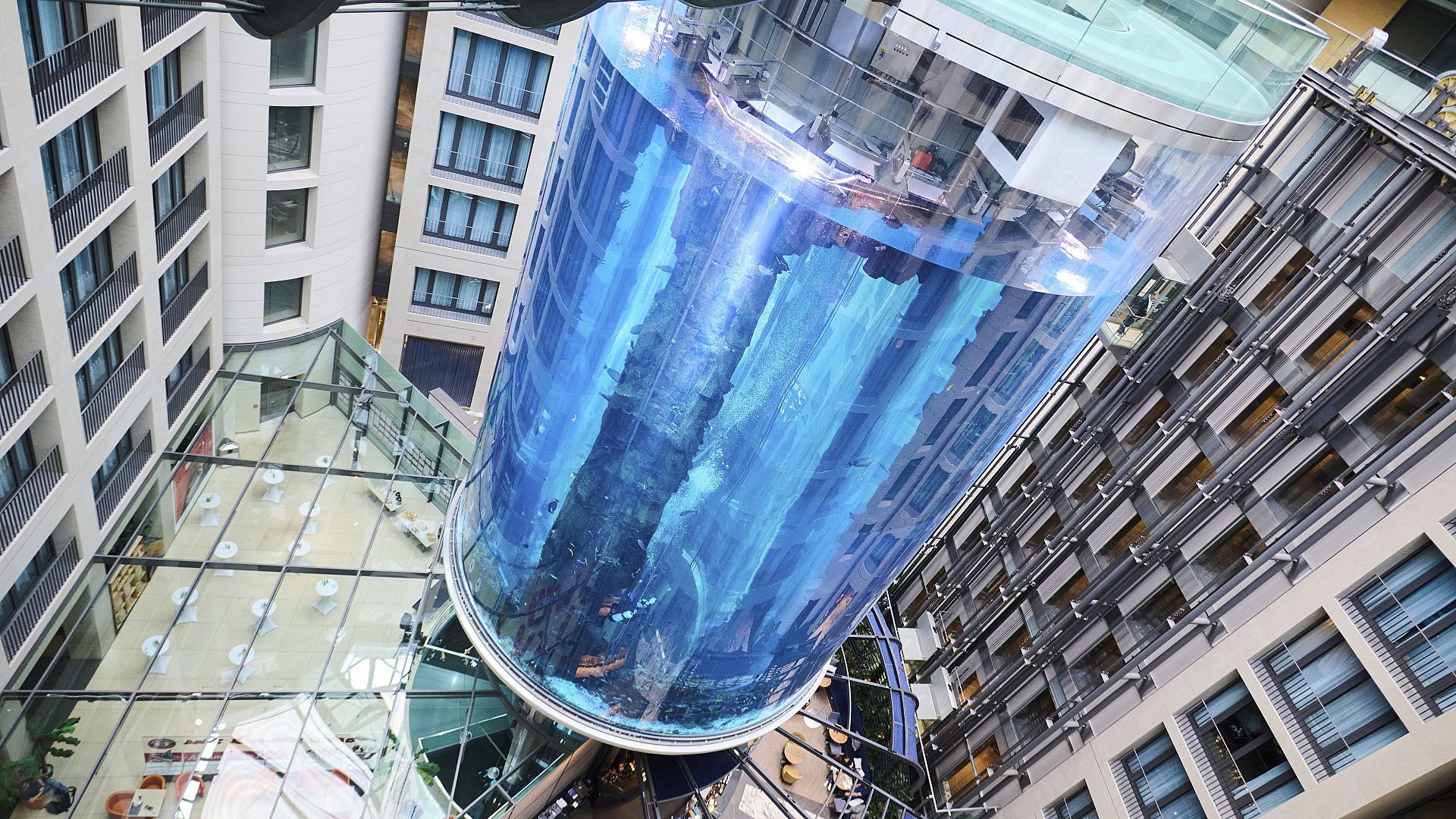 Video. Watch: Aftermath of huge Berlin aquarium explosion | Euronews