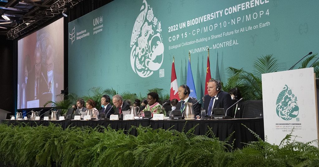 COP15: Nations reach 'historic' deal to protect nature at Montreal ...
