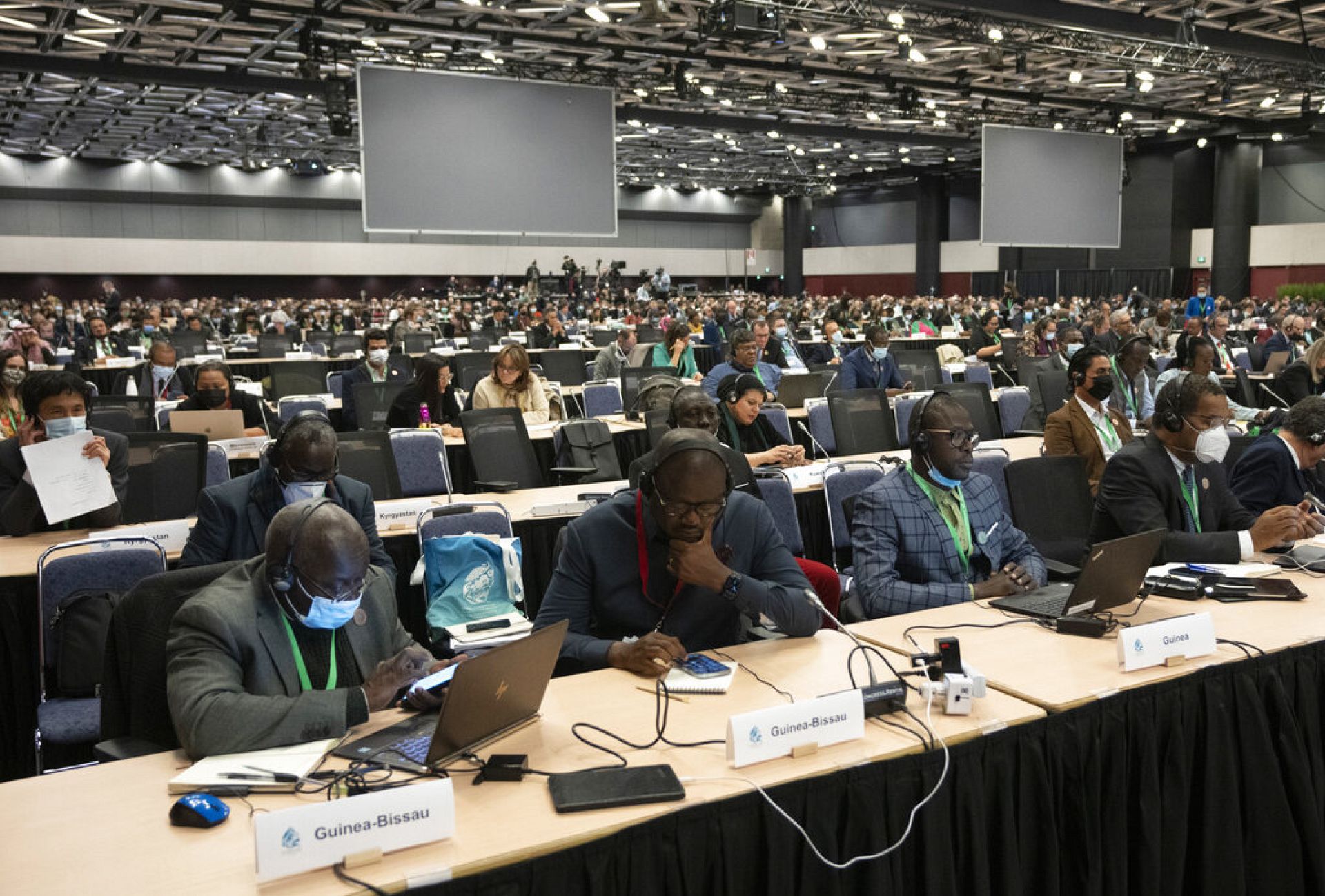 Nations agree landmark deal for biodiversity at COP15: What does it ...