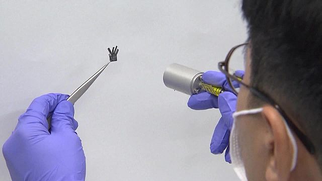 This new artificial muscle can move just like human muscles but it’s 17 ...