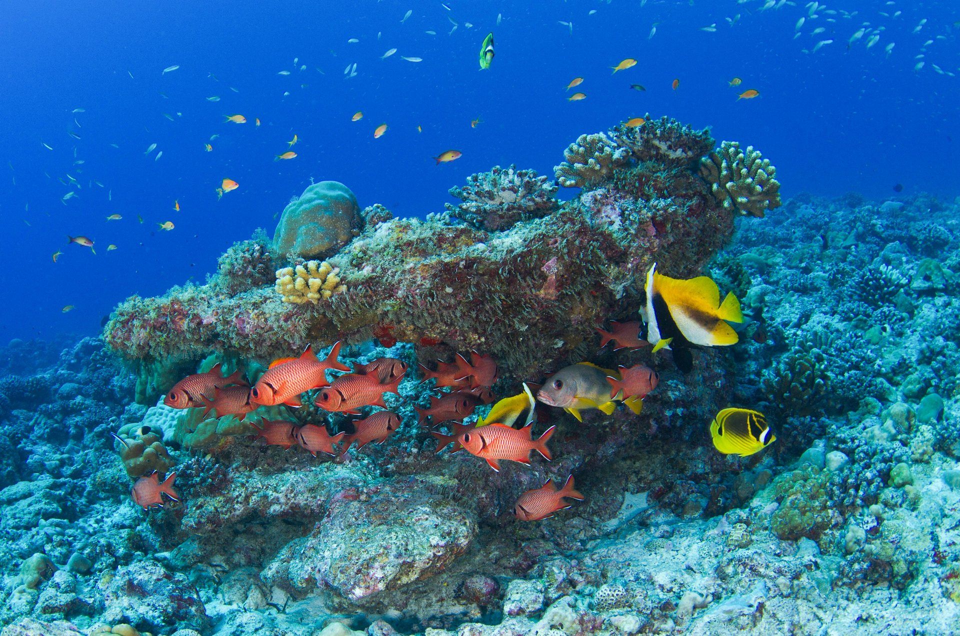 Island hopping, hiking and helicopter rides: discover the top 8 things ...