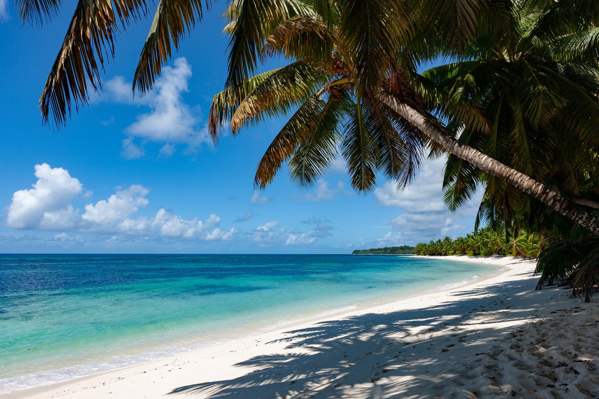 Island hopping, hiking and helicopter rides: discover the top 8 things ...