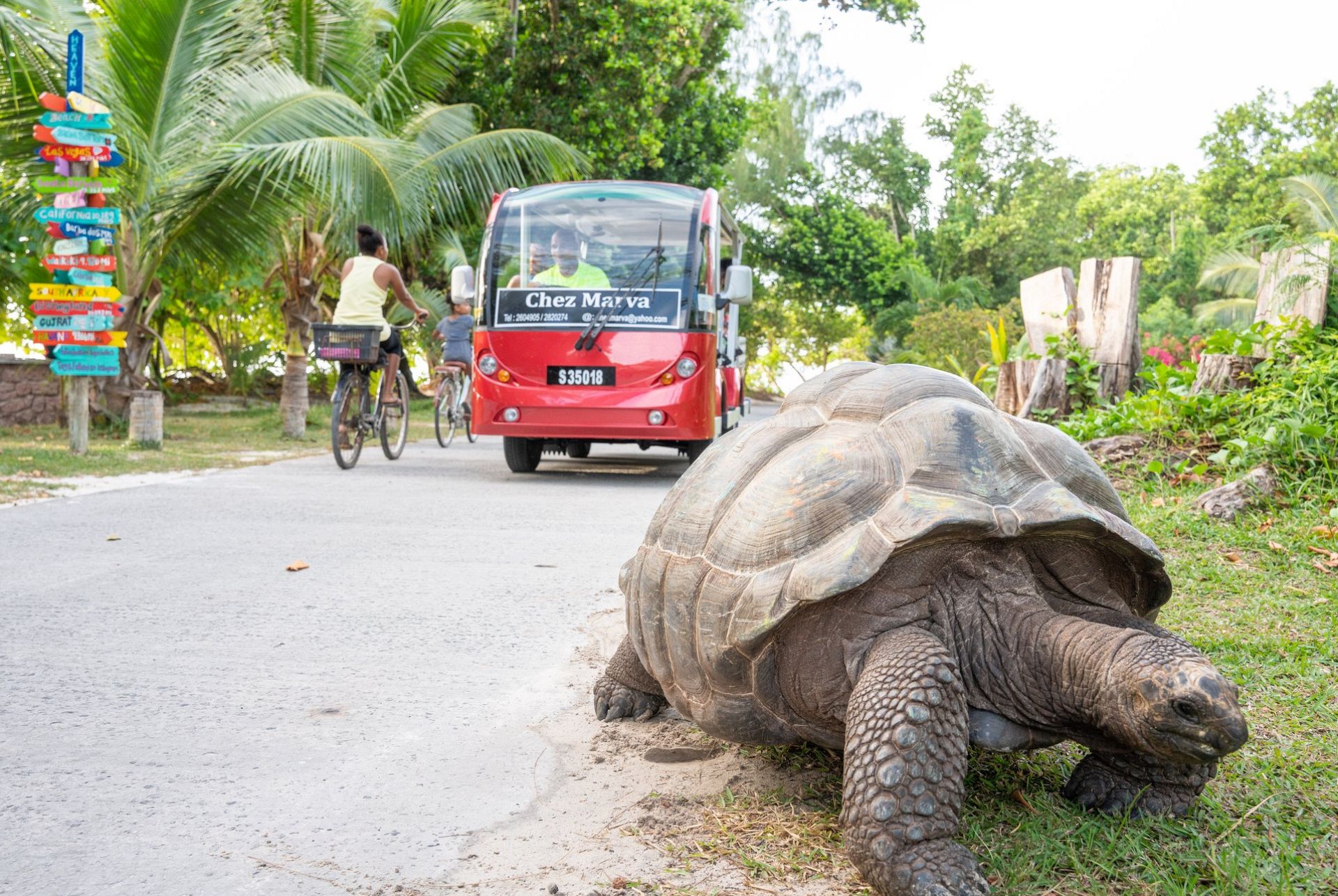 Island hopping, hiking and helicopter rides: discover the top 8 things ...