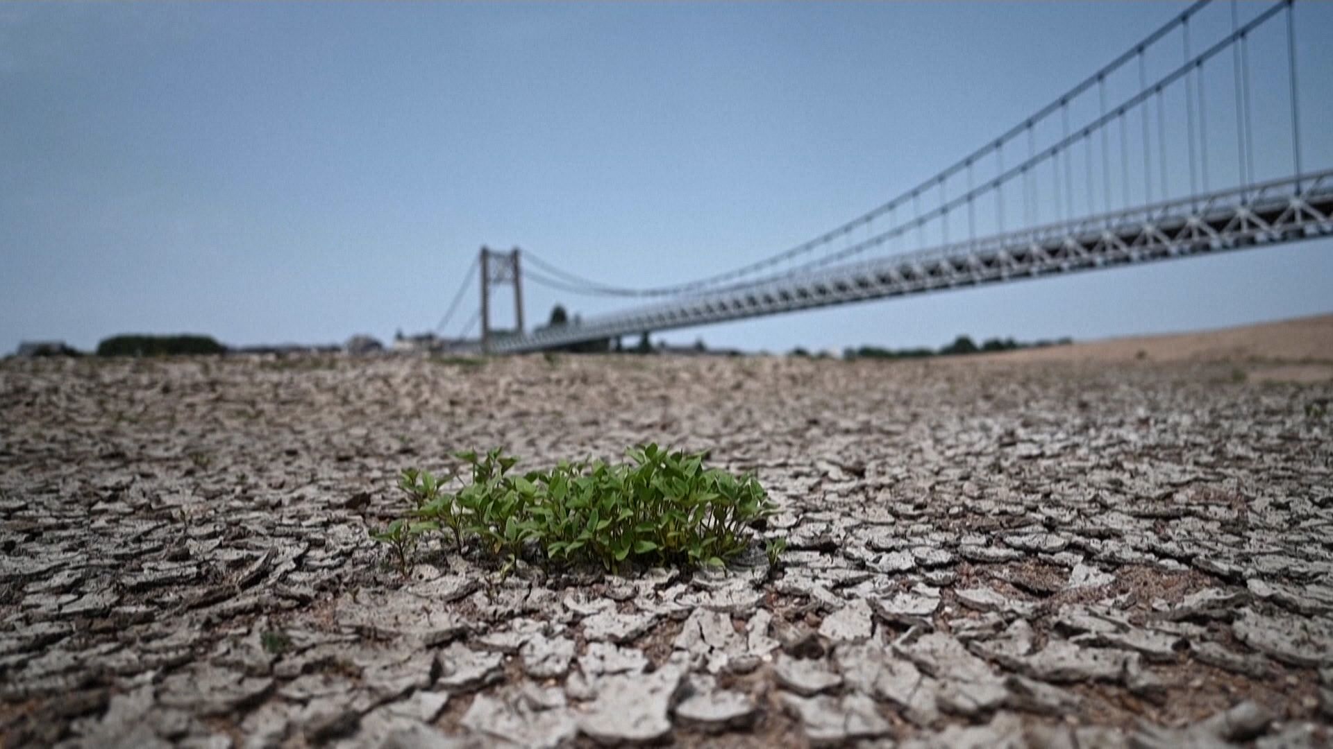 Video. Was 2022 a year of freak weather events or a climate change ...