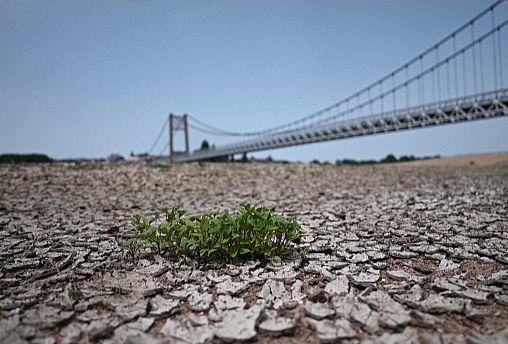 Climate Now - Latest episodes, latest news and updates about | Euronews