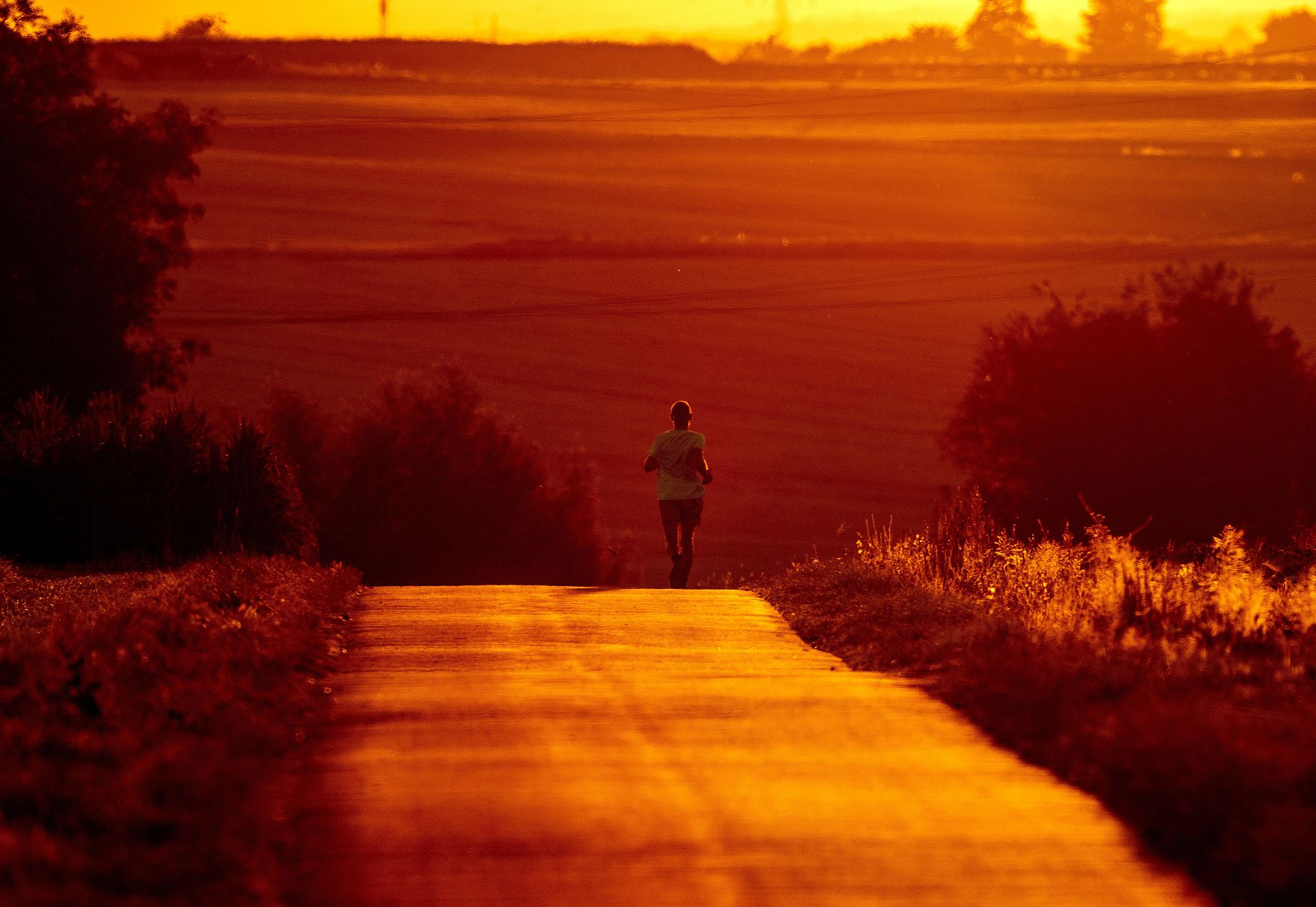 Europe saw hottest summer on record in 2022: These countries broke ...