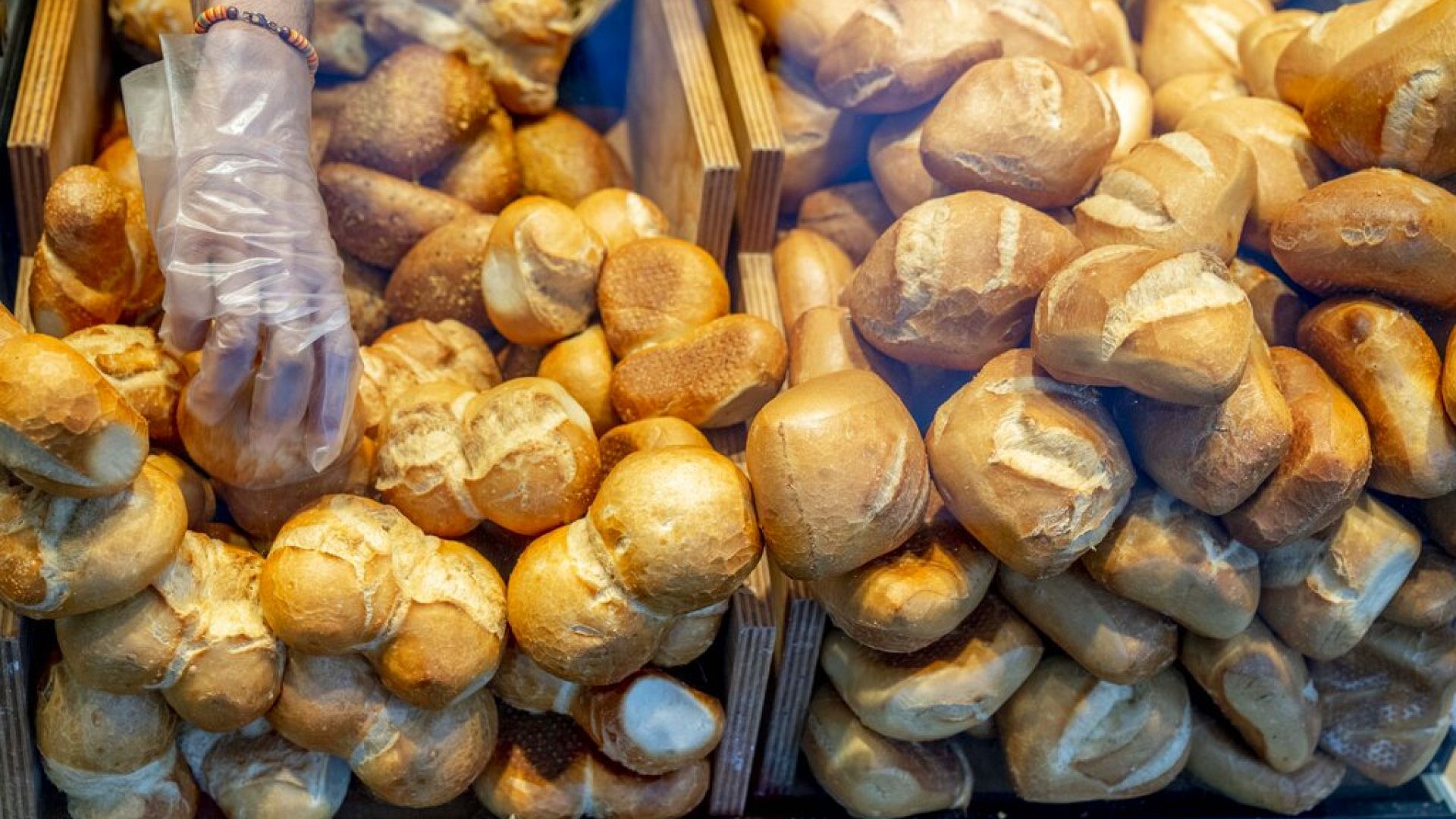 Video. The Dutch bakers making stale bread fresh again | Euronews