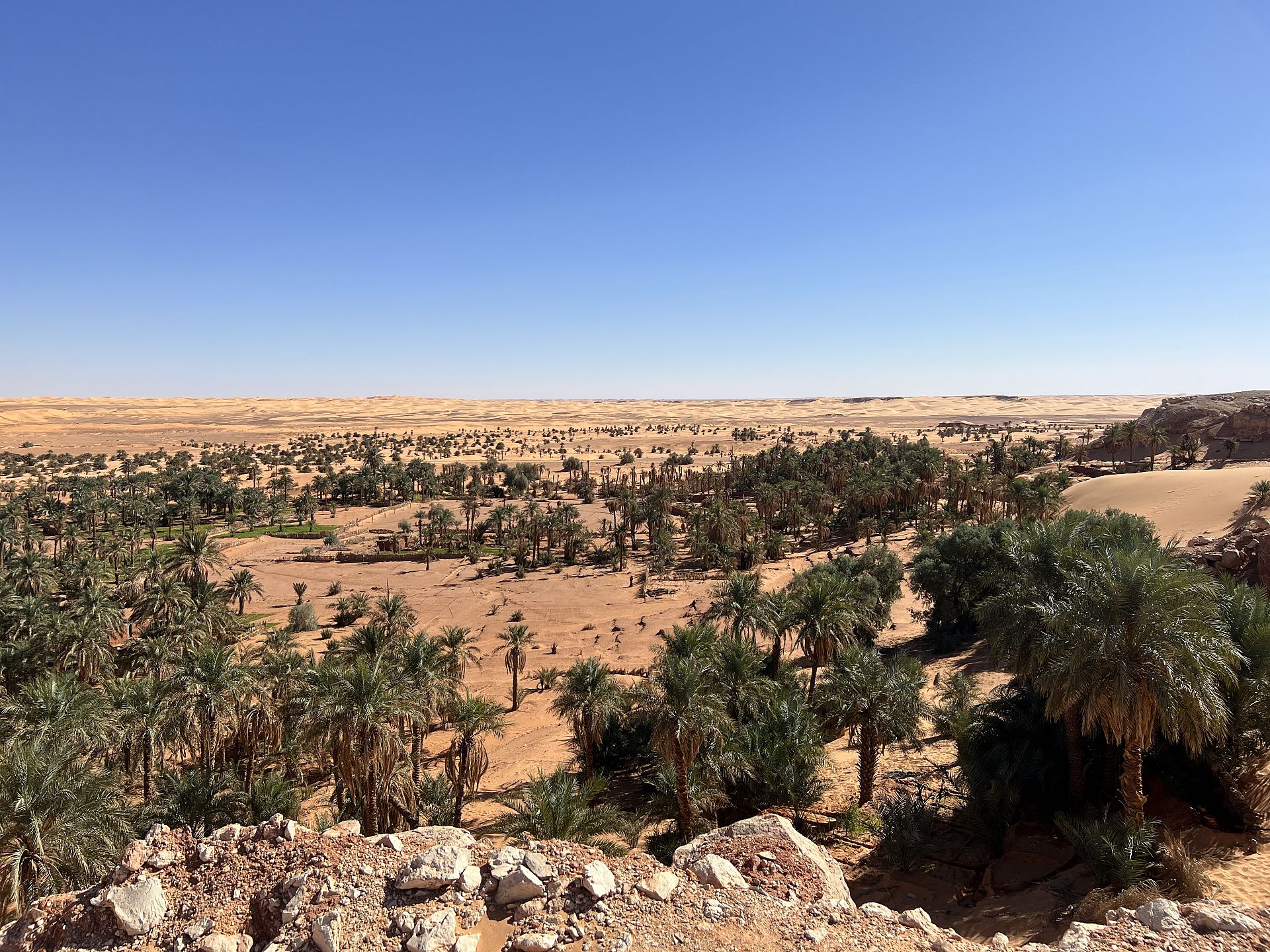 I ran through the desert in Algeria: Here’s why this should be your ...