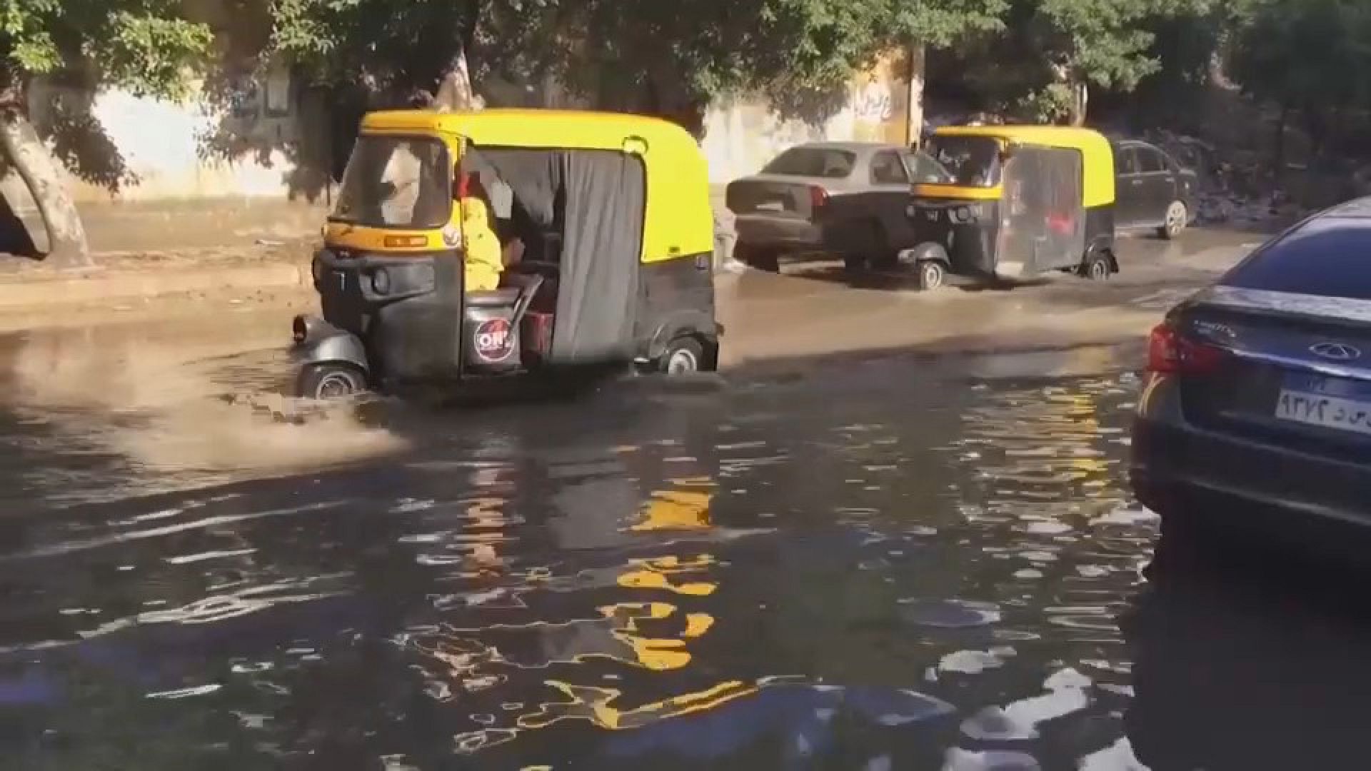 Video. Watch: Heavy rain flood streets in Alexandria | Euronews