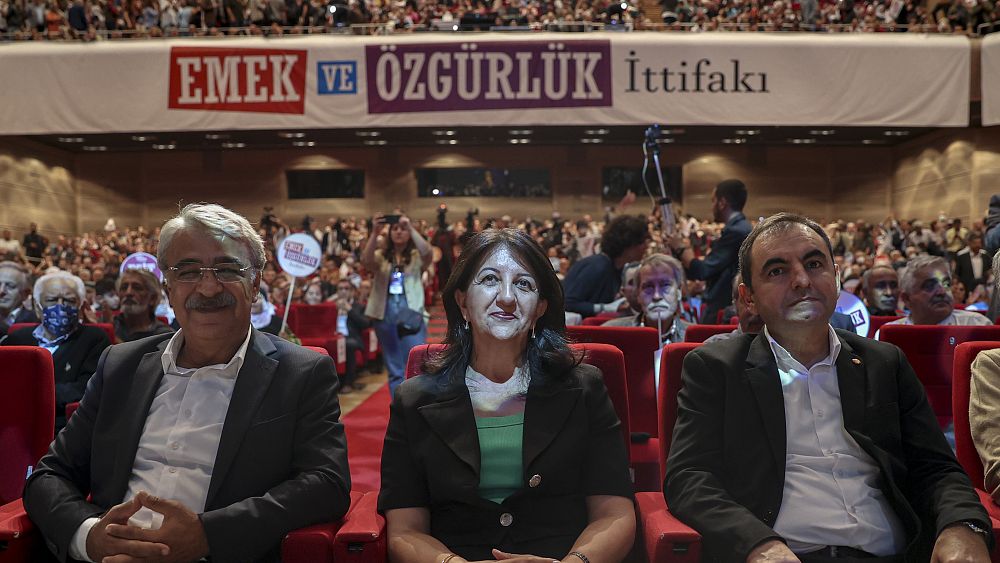 Emek ve Özgürlük İttifakı'nın İstanbul'daki ilk mitingi Demirtaş'ın ...