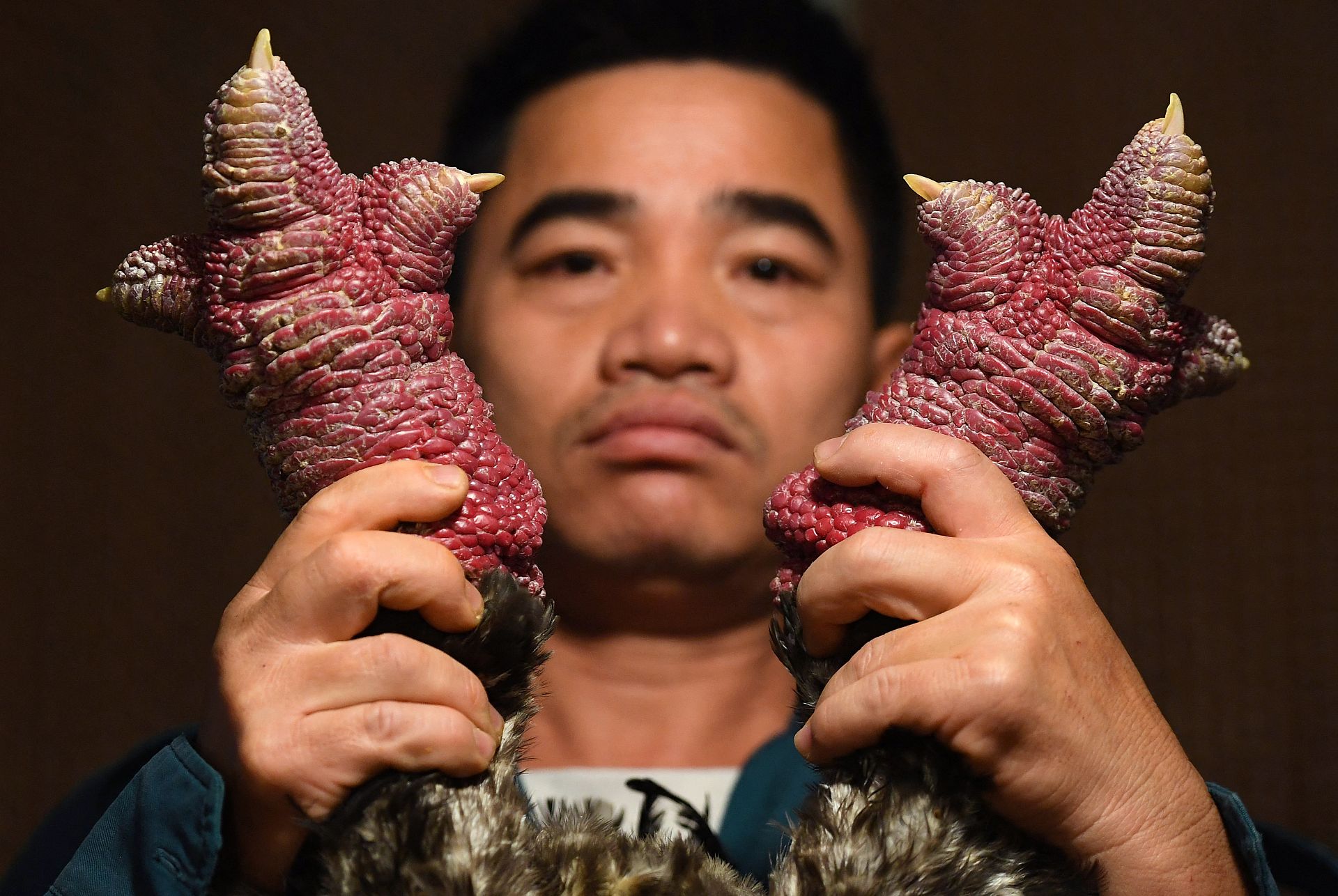 Would you eat the giant legs of this luxury Vietnamese dragon chicken ...