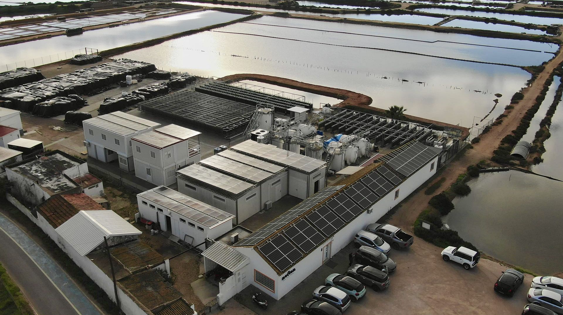 Researchers in Europe turn to microscopic algae for answers to our ...