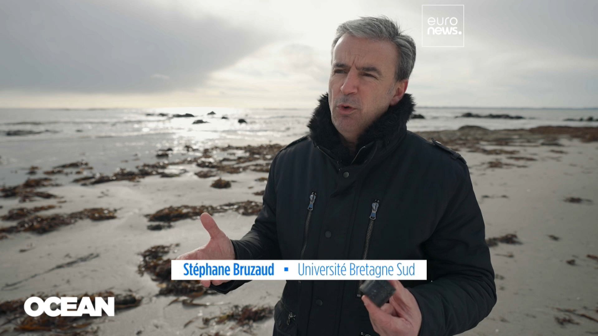 Microalgas marinas | Una alternativa sostenible para la preservación de ...