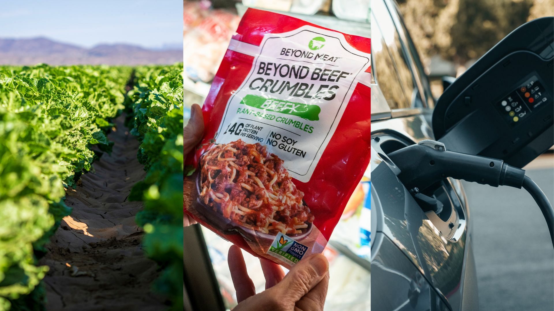 Scientists name three easy and cheap solutions that could drastically ...