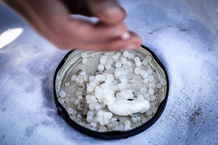 'Environmental nightmare': French authorities hunt for source of ...