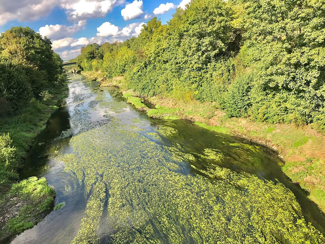 A tale of two rivers: What the Oder could learn from the once smelly ...
