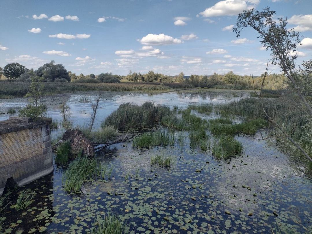 A tale of two rivers: What the Oder could learn from the once smelly ...