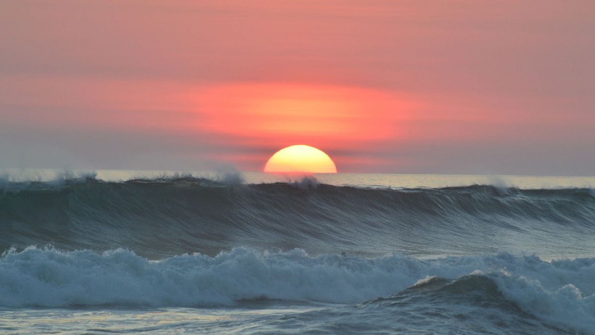 The impact of rising sea levels is being ‘underestimated’, scientists ...