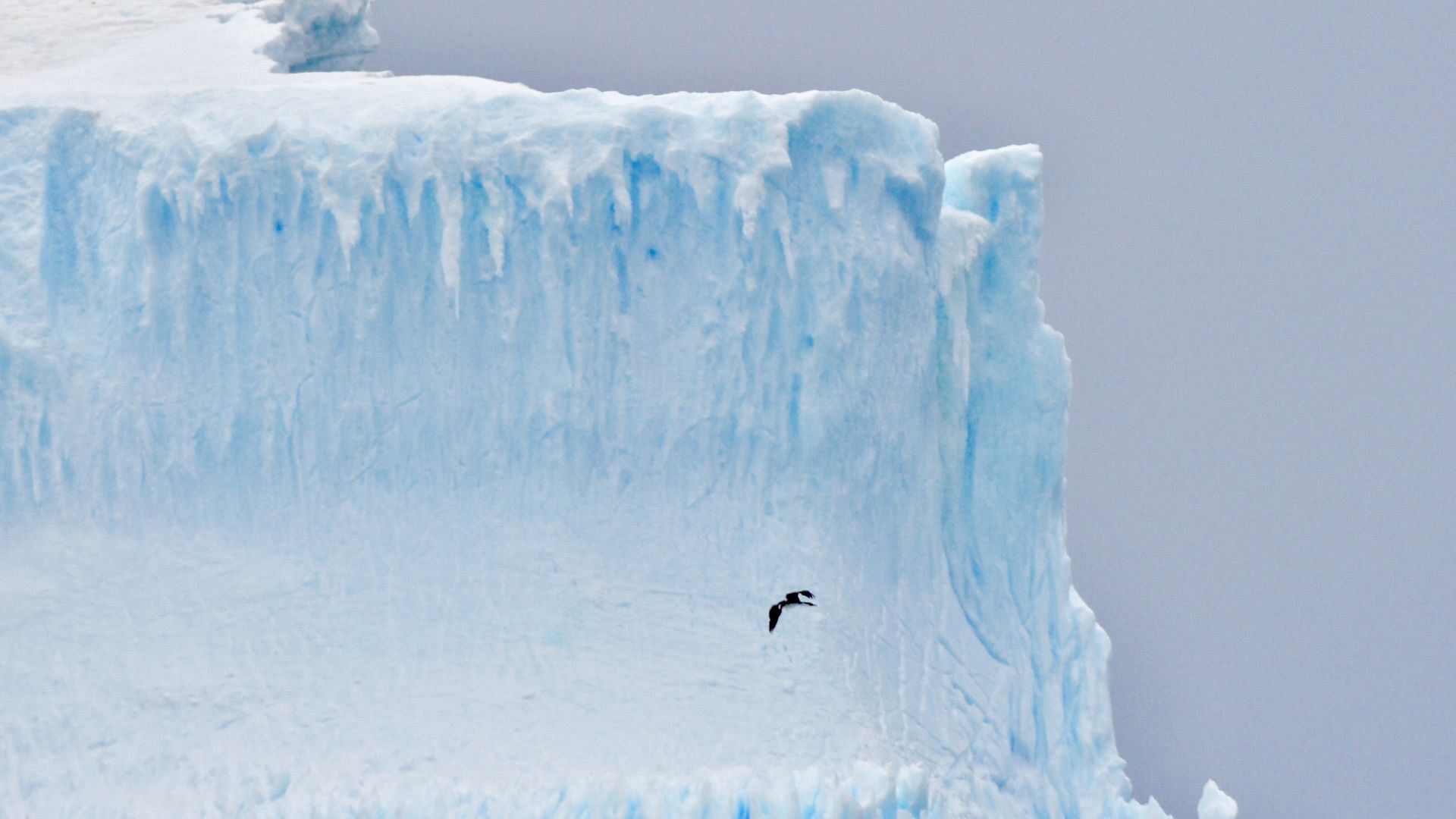 This ancient Antarctic ice reveals 50,000 years of vital climate change ...