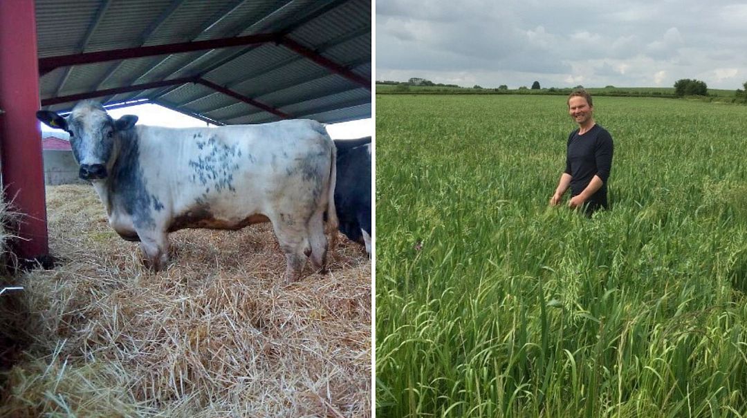 From a beef farm gone vegan to Scottish seaweed: All the winners of ...