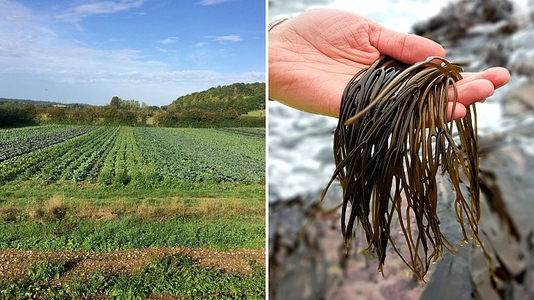 From a beef farm gone vegan to Scottish seaweed: All the winners of ...