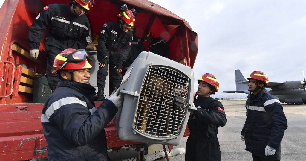 African leaders send condolences to Turkey, Syria over devastating ...