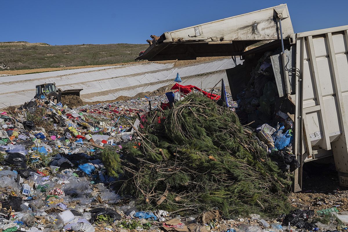 Spain’s rubbish dumps are attracting white storks, but danger lurks in ...