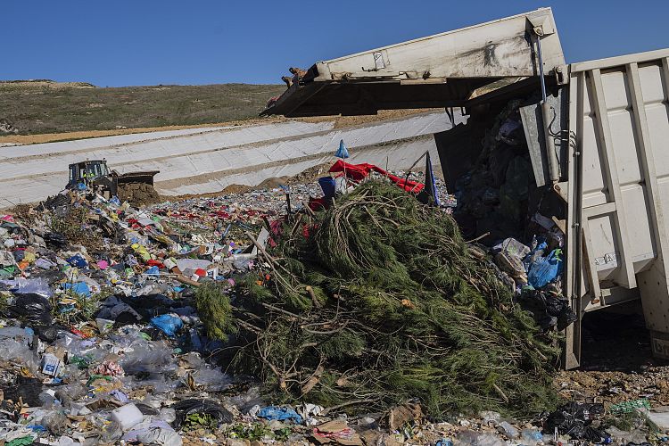 Spain’s rubbish dumps are attracting white storks, but danger lurks in ...