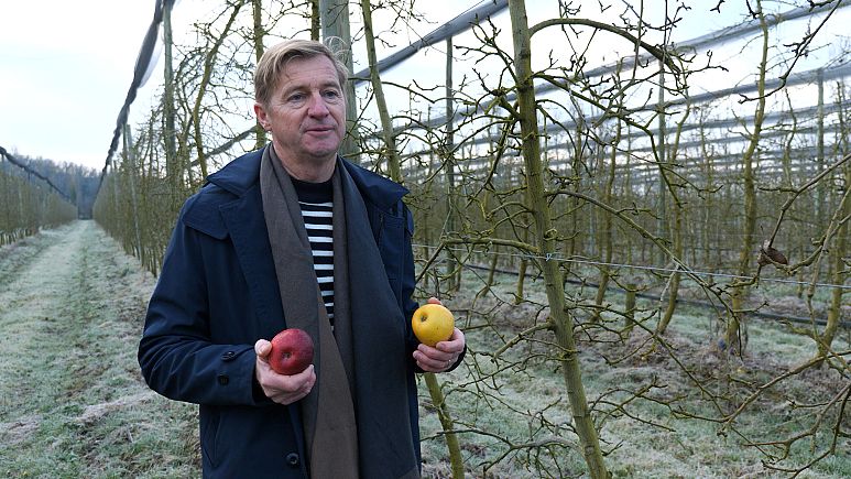 The fight for Europe's fruit: How orchards are adapting to warmer ...