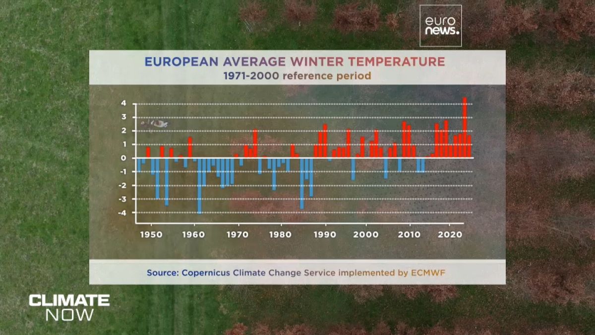 Clima impazzito e agricoltura: gli espedienti per affrontare l'emergenza | Euronews
