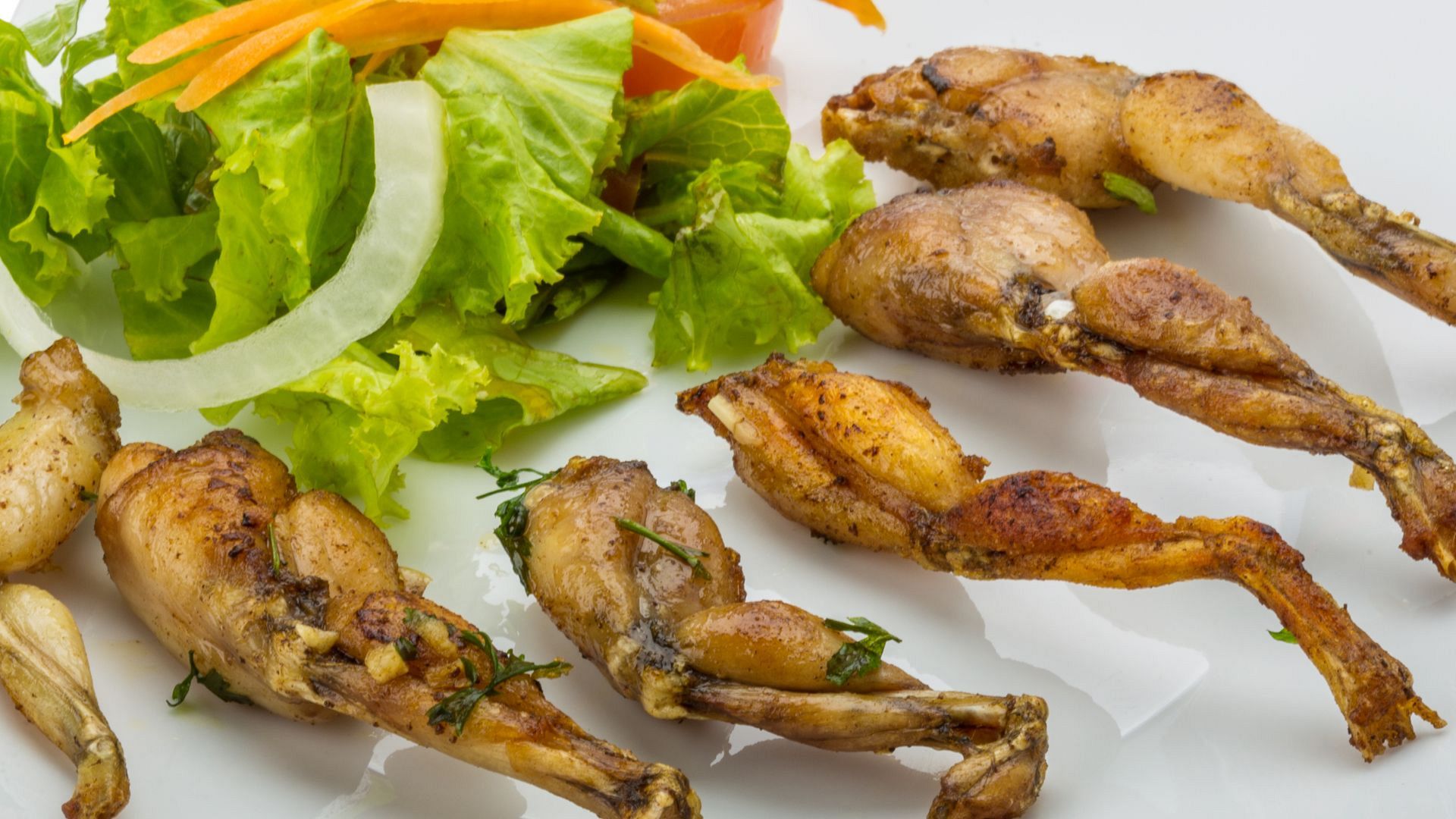 Europe’s insatiable appetite for frogs’ legs could drive them to ...