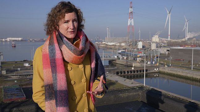 Ocean - Latest episodes, latest news and updates about | Euronews