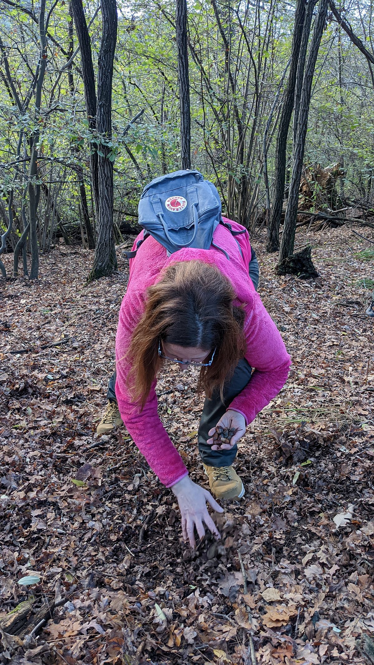 Podcast | Cooking with acorns: how foraging can be a buffer in times of ...