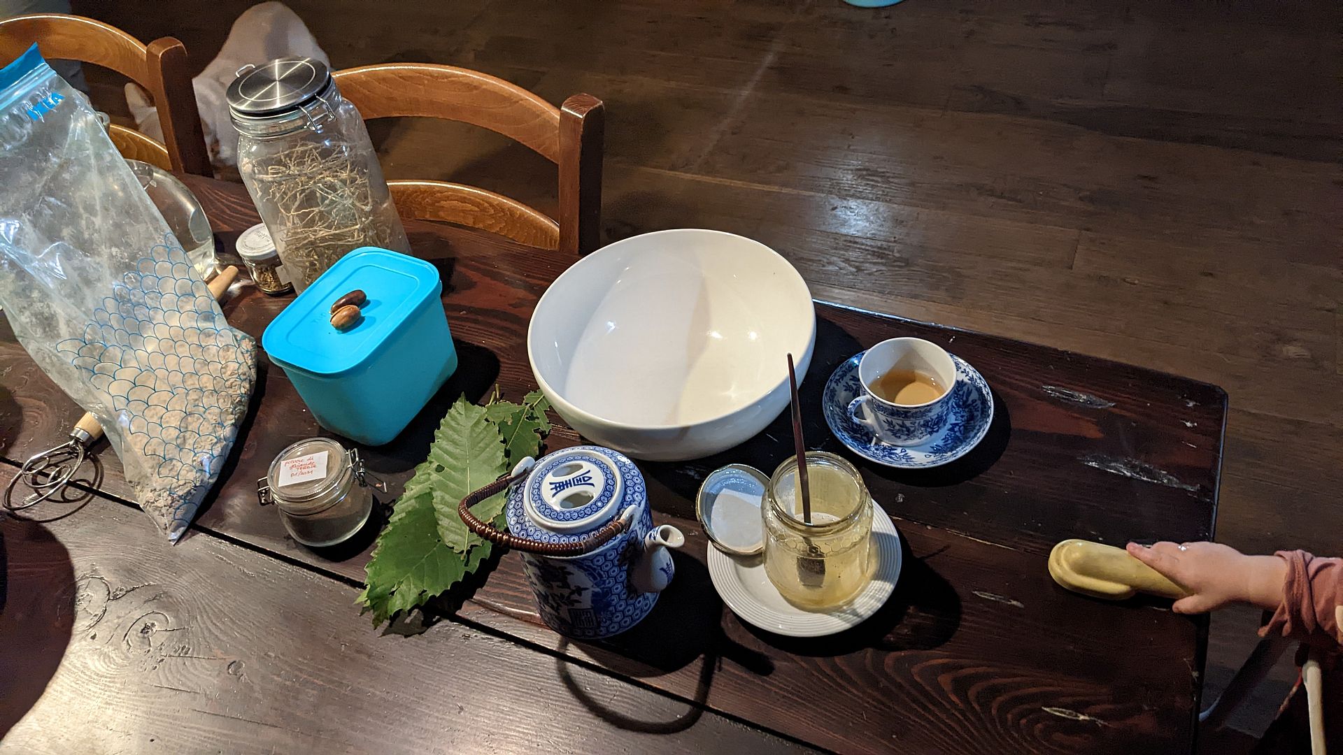 Podcast | Cooking with acorns: how foraging can be a buffer in times of ...