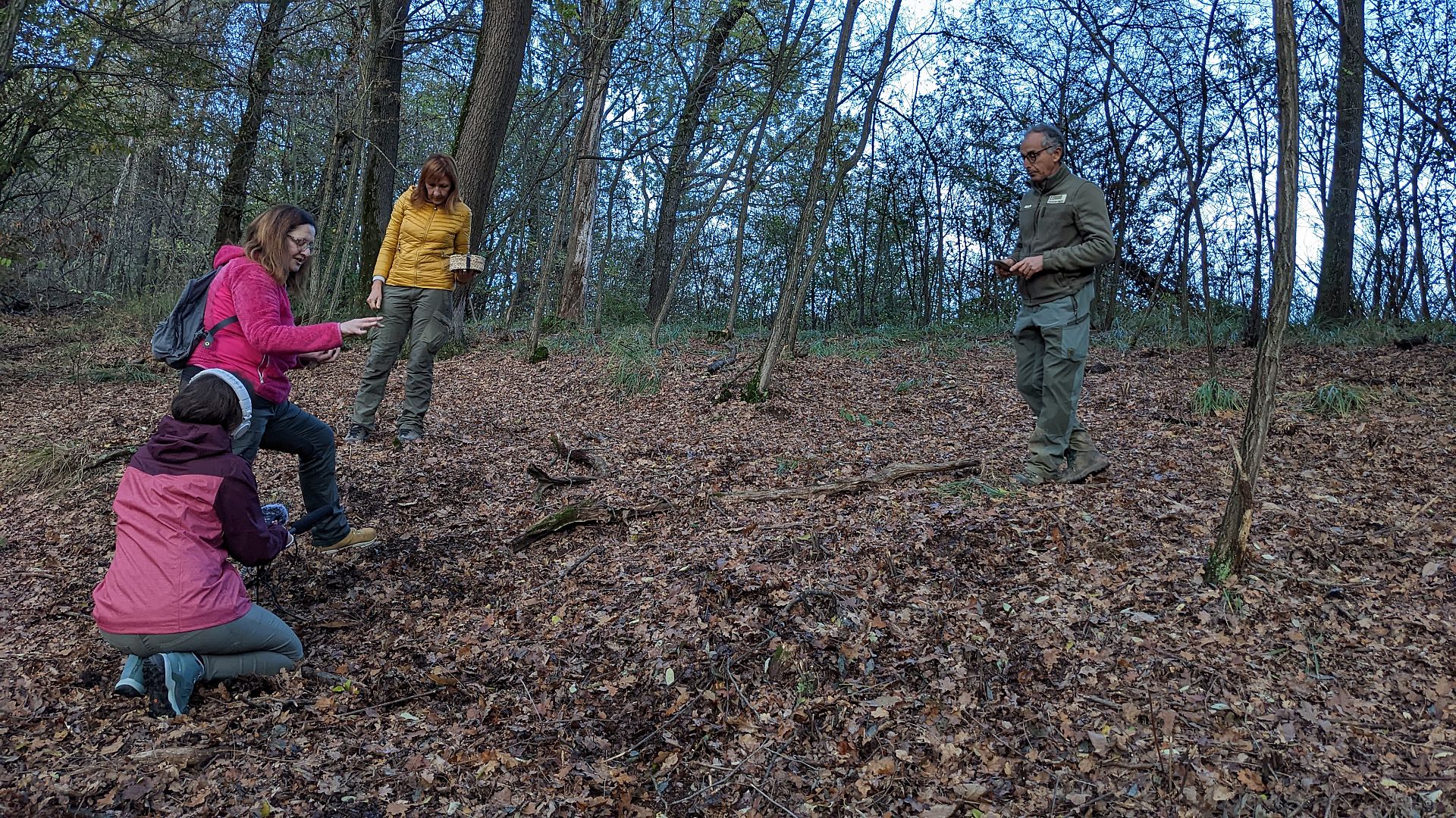 Podcast | Cooking with acorns: how foraging can be a buffer in times of ...