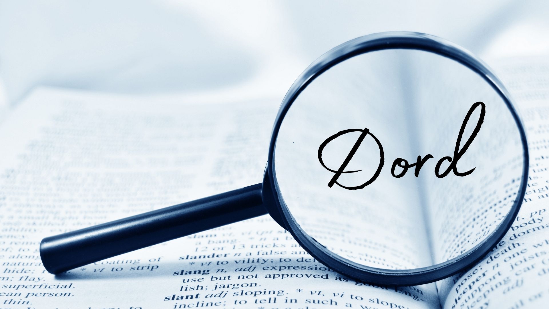 Culture Re-View: The discovery of the mystery word "Dord" | Euronews