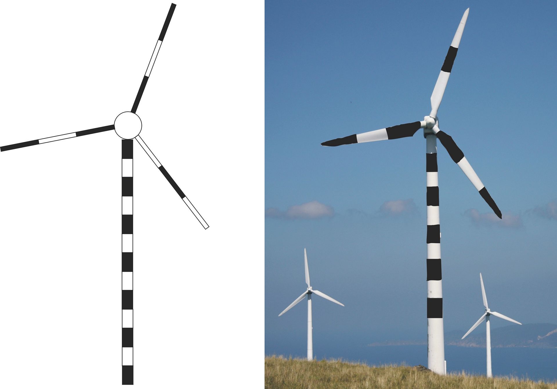 Stripy wind turbines could reduce seabird fatalities, say avian vision ...
