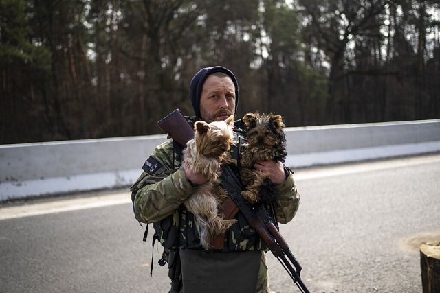 We must help the animals affected by war in Ukraine — otherwise, we're ...