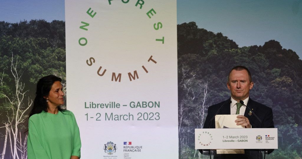Gabon : coup d'envoi du sommet pour la protection des forêts | Africanews